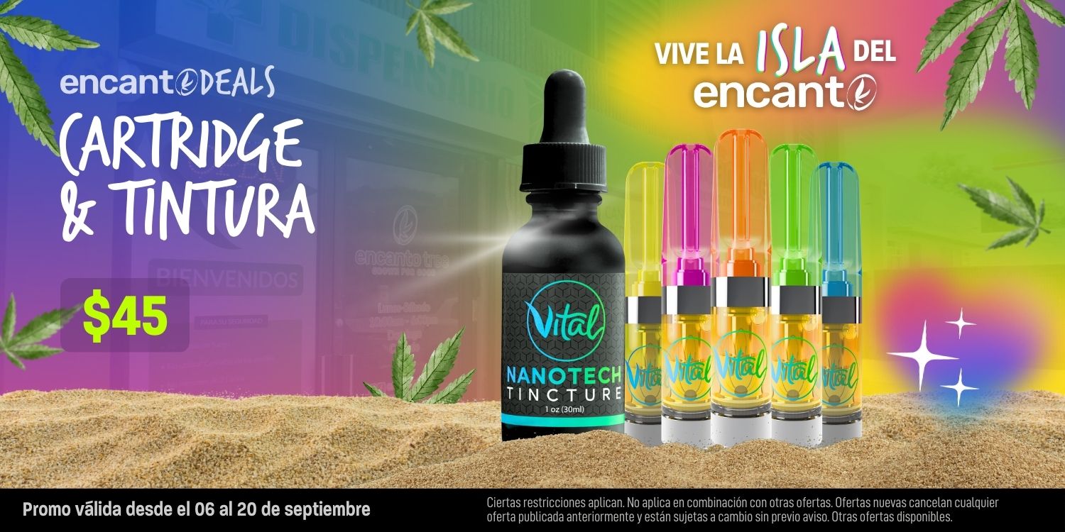 Ofertas de Productos - Encanto Tree