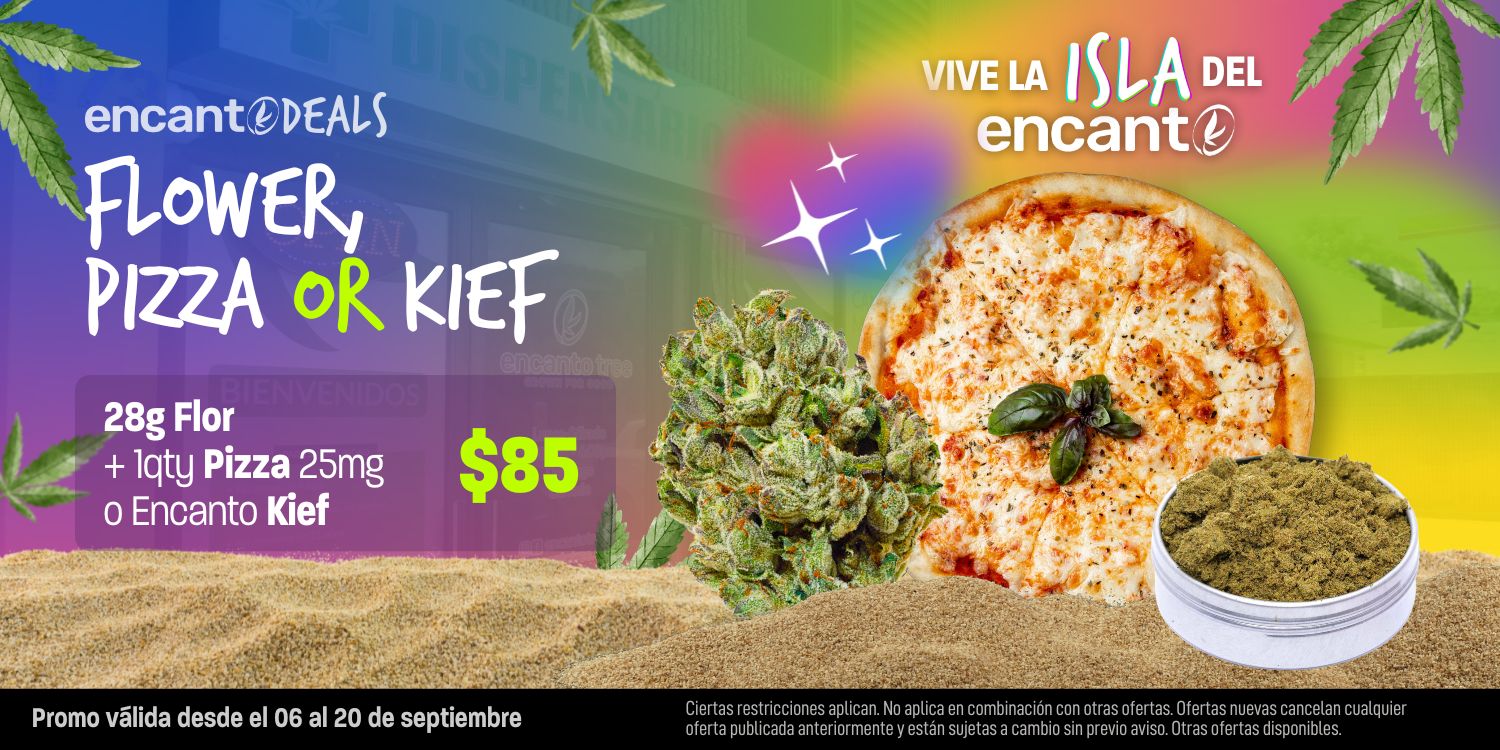 Ofertas de Productos - Encanto Tree