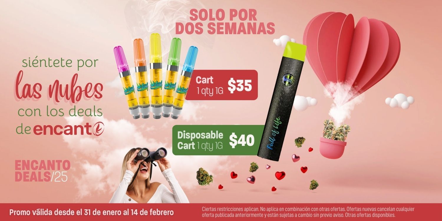 Ofertas de Productos - Encanto Tree