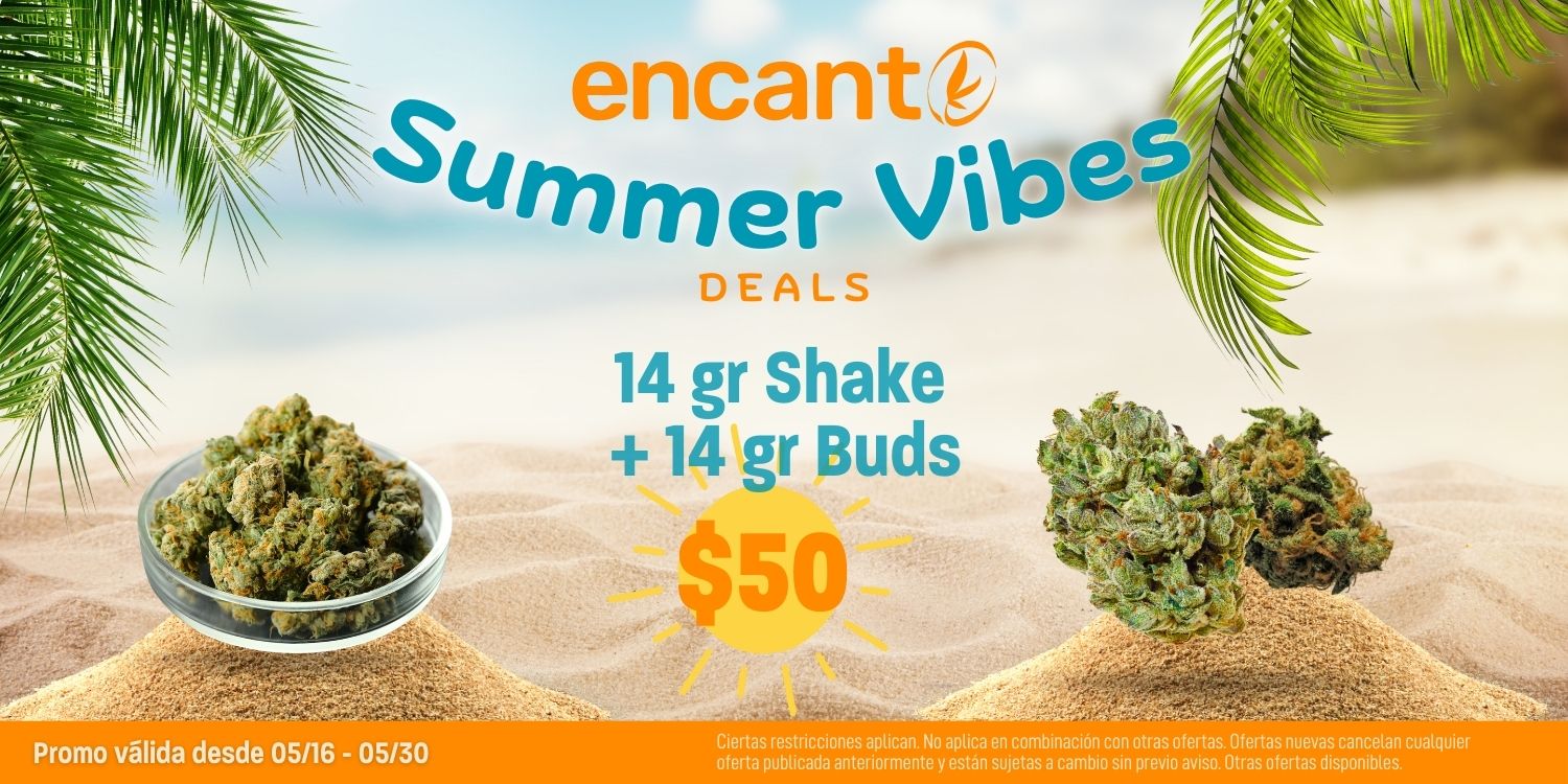 Deals Product - Encanto Tree