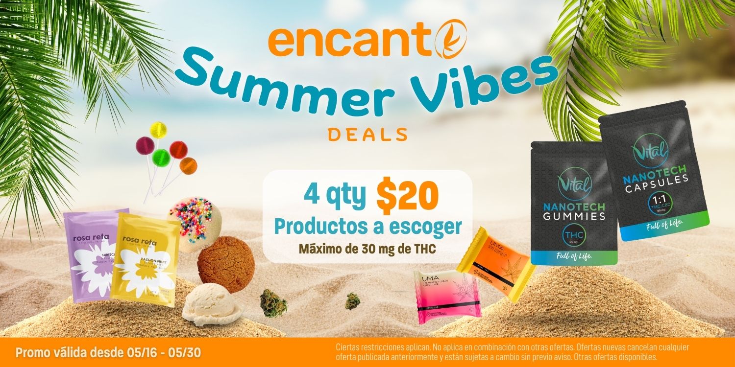 Deals Product - Encanto Tree