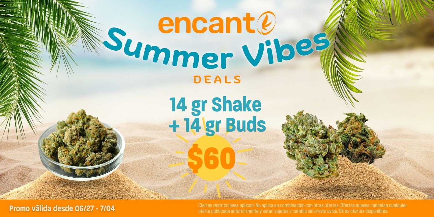 Ofertas de Productos - Encanto Tree