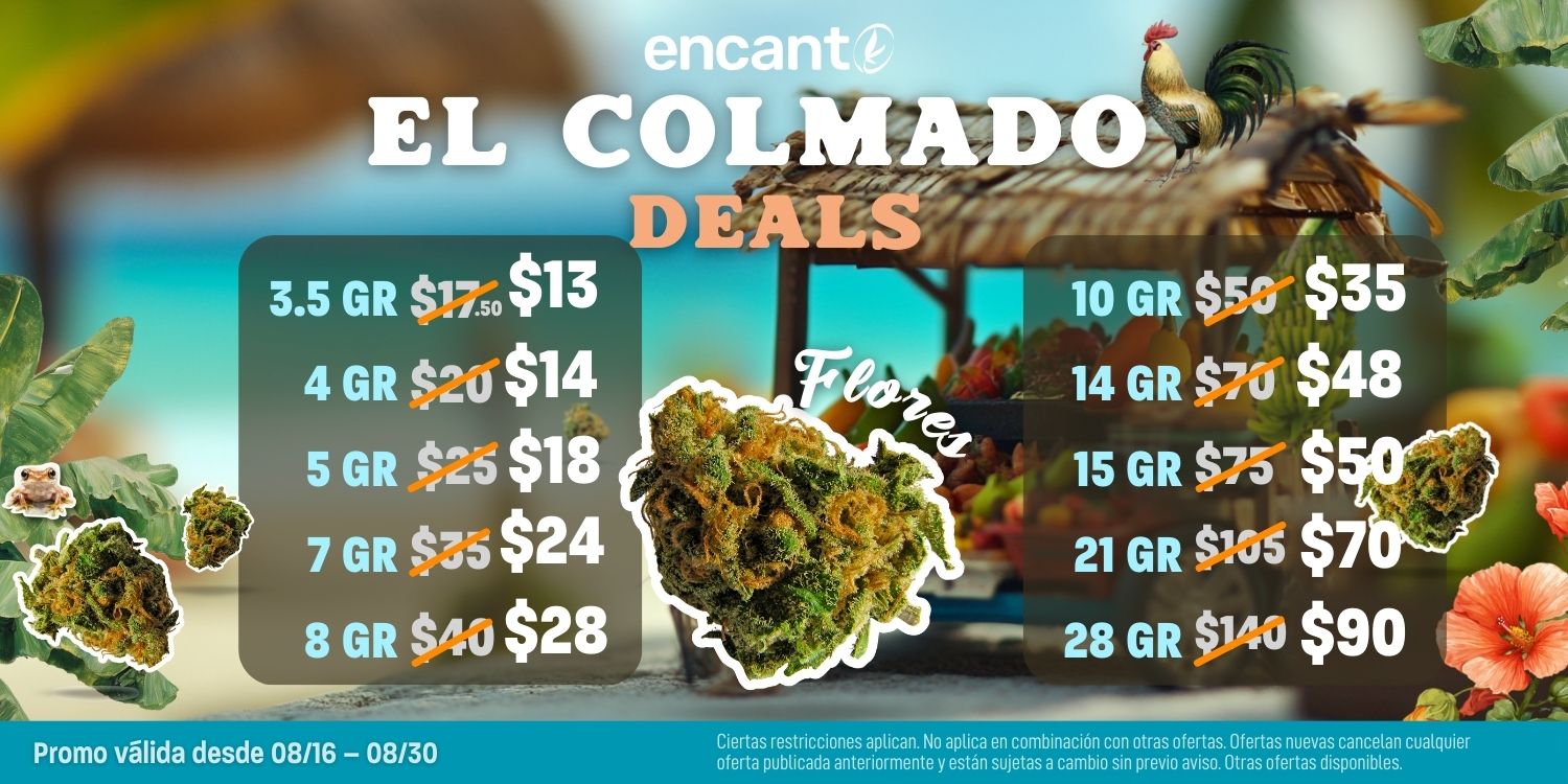 Dispensaries - Encanto Tree - Medicinal Cannabis