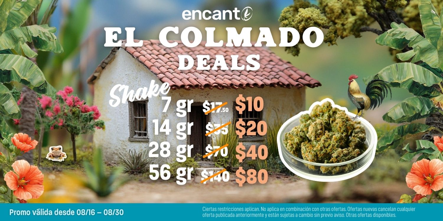 Dispensaries - Encanto Tree - Medicinal Cannabis