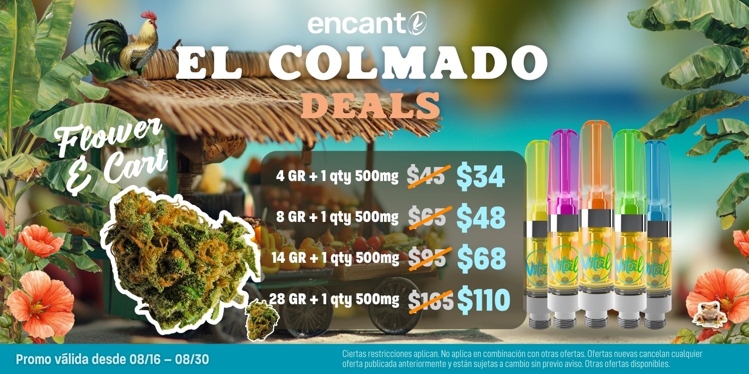 Dispensaries - Encanto Tree - Medicinal Cannabis