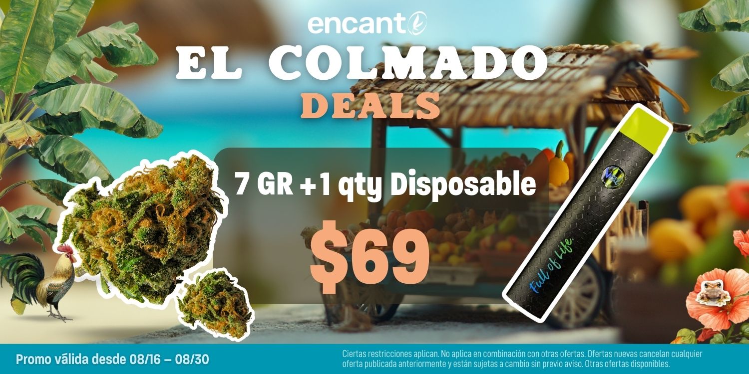 Dispensaries - Encanto Tree - Medicinal Cannabis