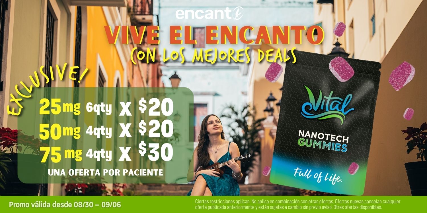 Deals Product - Encanto Tree