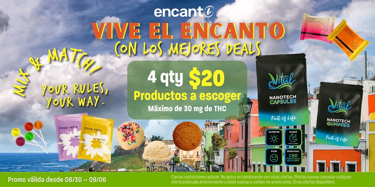 Deals Product - Encanto Tree