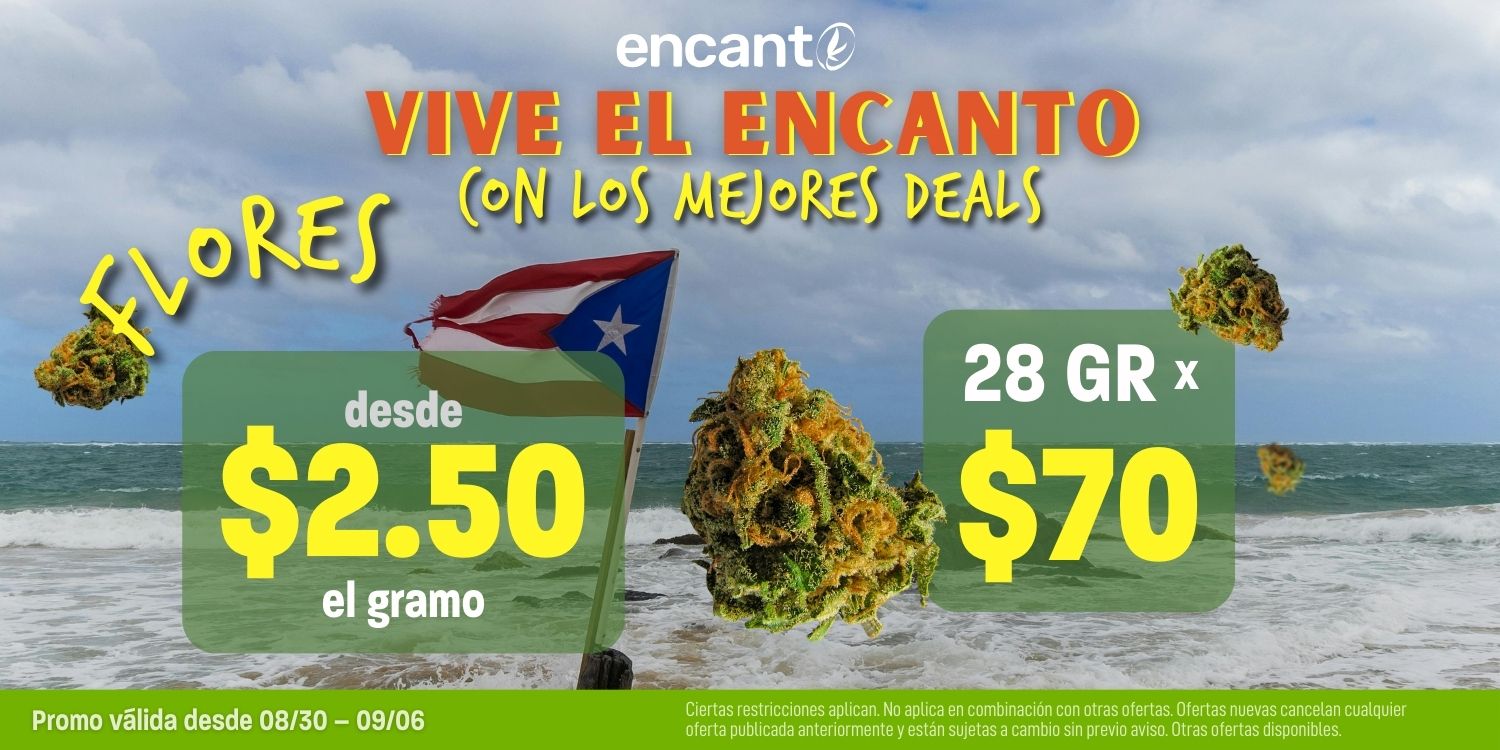 Deals Product - Encanto Tree