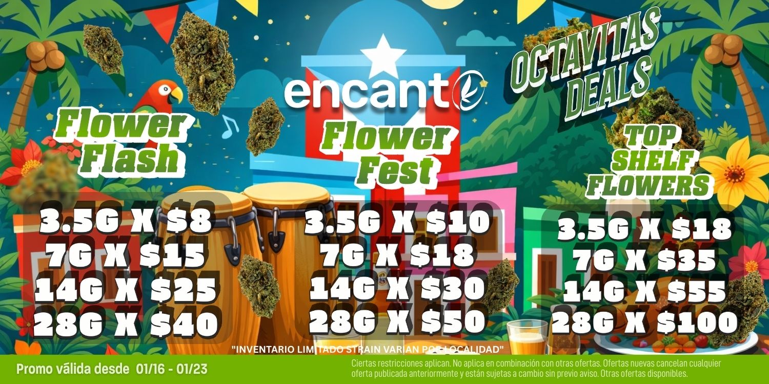 Deals Product - Encanto Tree