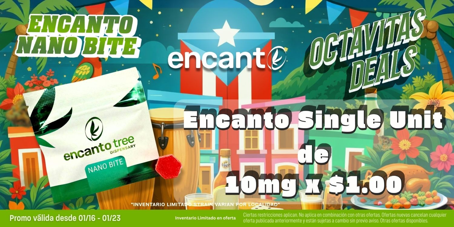 Deals Product - Encanto Tree