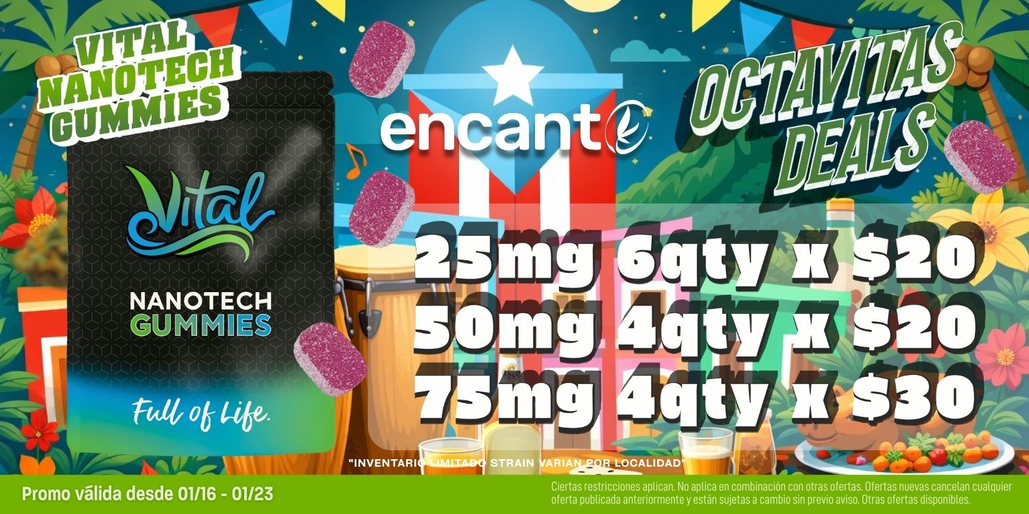 Deals Product - Encanto Tree