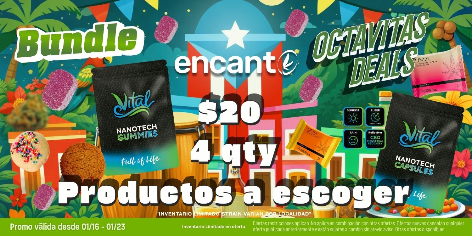 Deals Product - Encanto Tree
