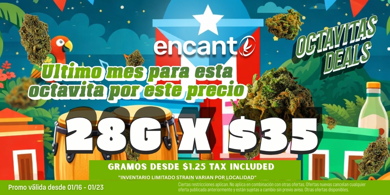 Deals Product - Encanto Tree