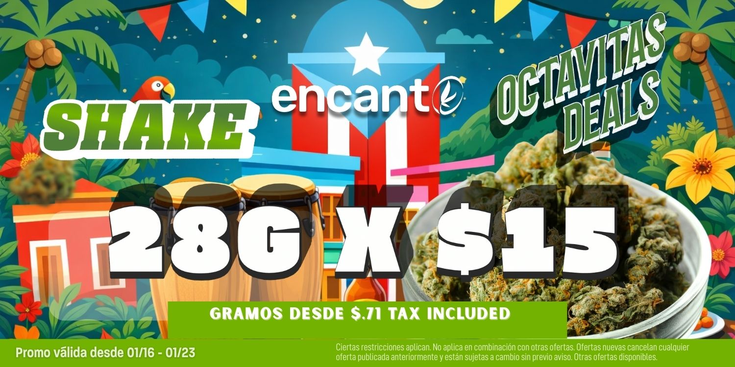 Deals Product - Encanto Tree