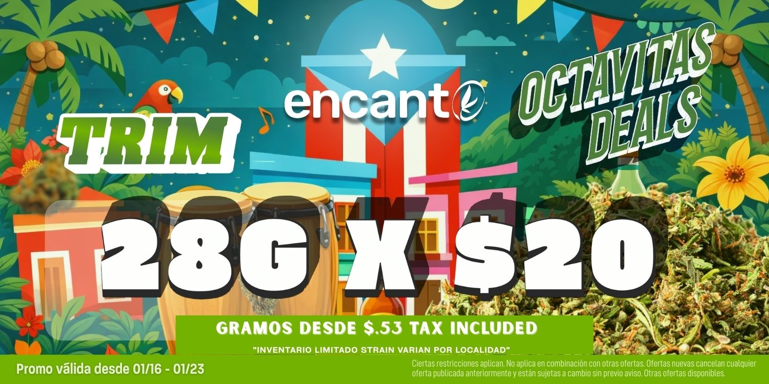 Deals Product - Encanto Tree