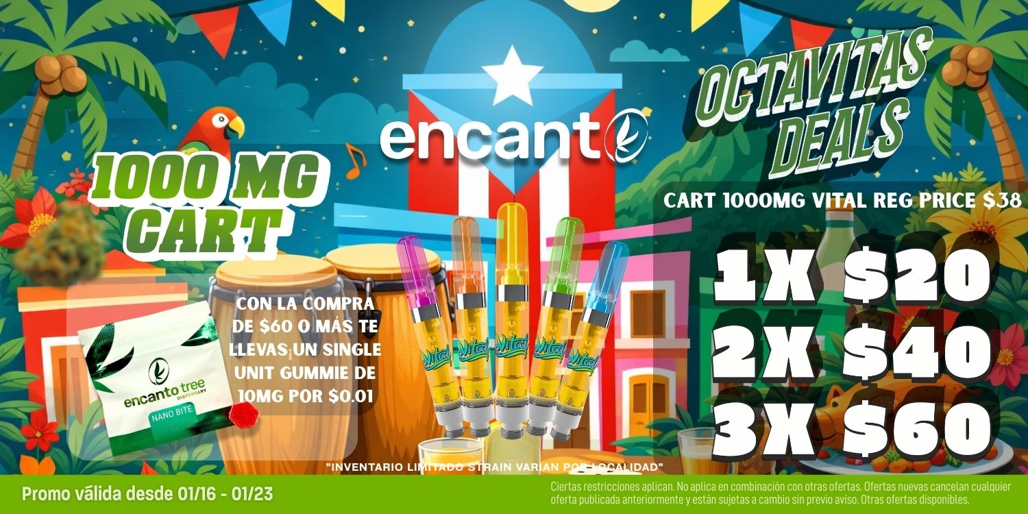 Deals Product - Encanto Tree