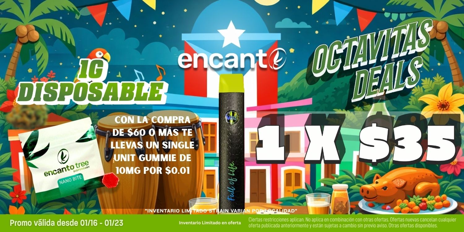 Deals Product - Encanto Tree