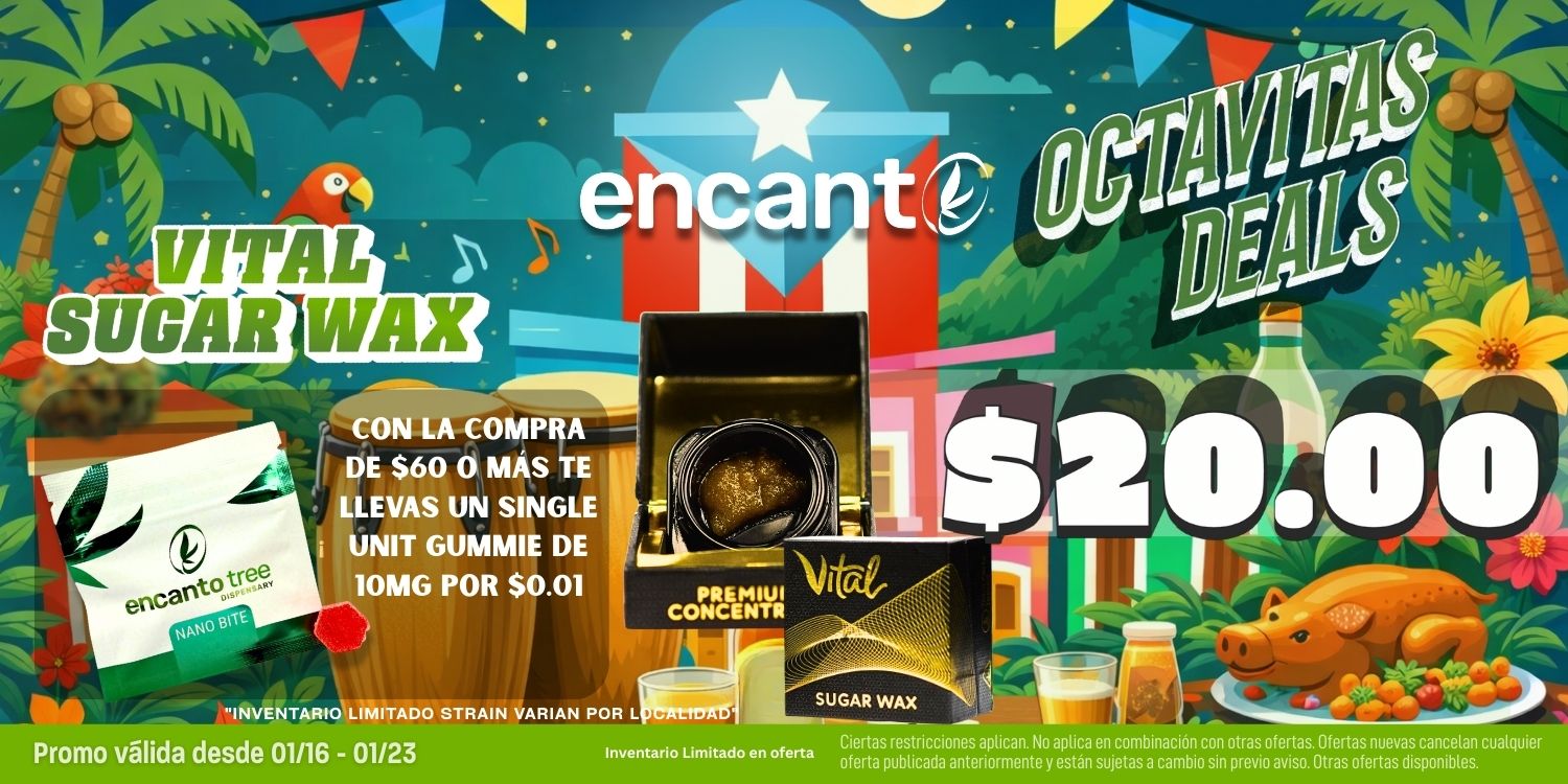 Deals Product - Encanto Tree