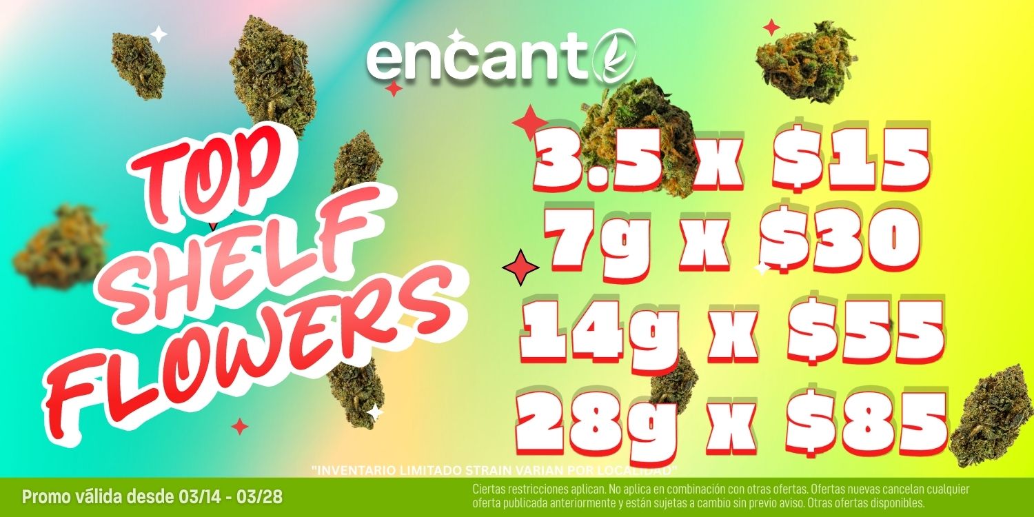 Ofertas de Productos - Encanto Tree