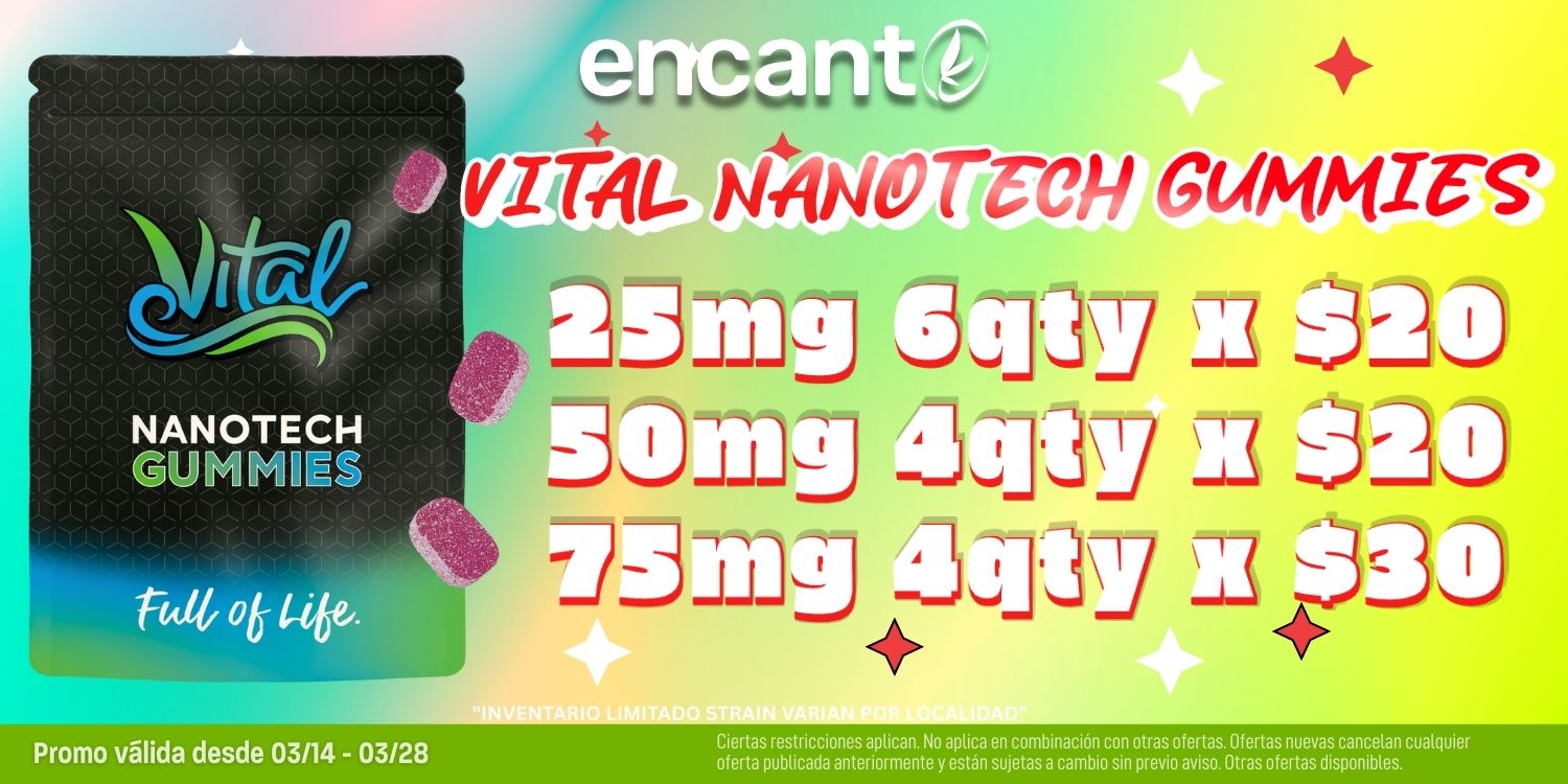 Ofertas de Productos - Encanto Tree