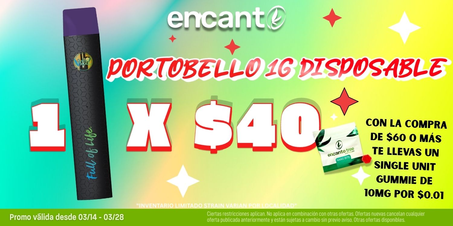 Ofertas de Productos - Encanto Tree