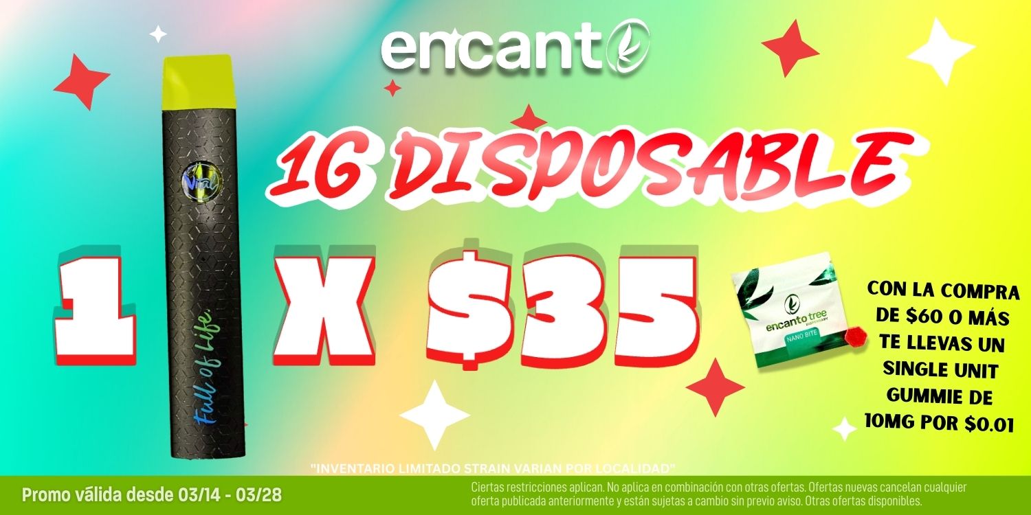 Ofertas de Productos - Encanto Tree